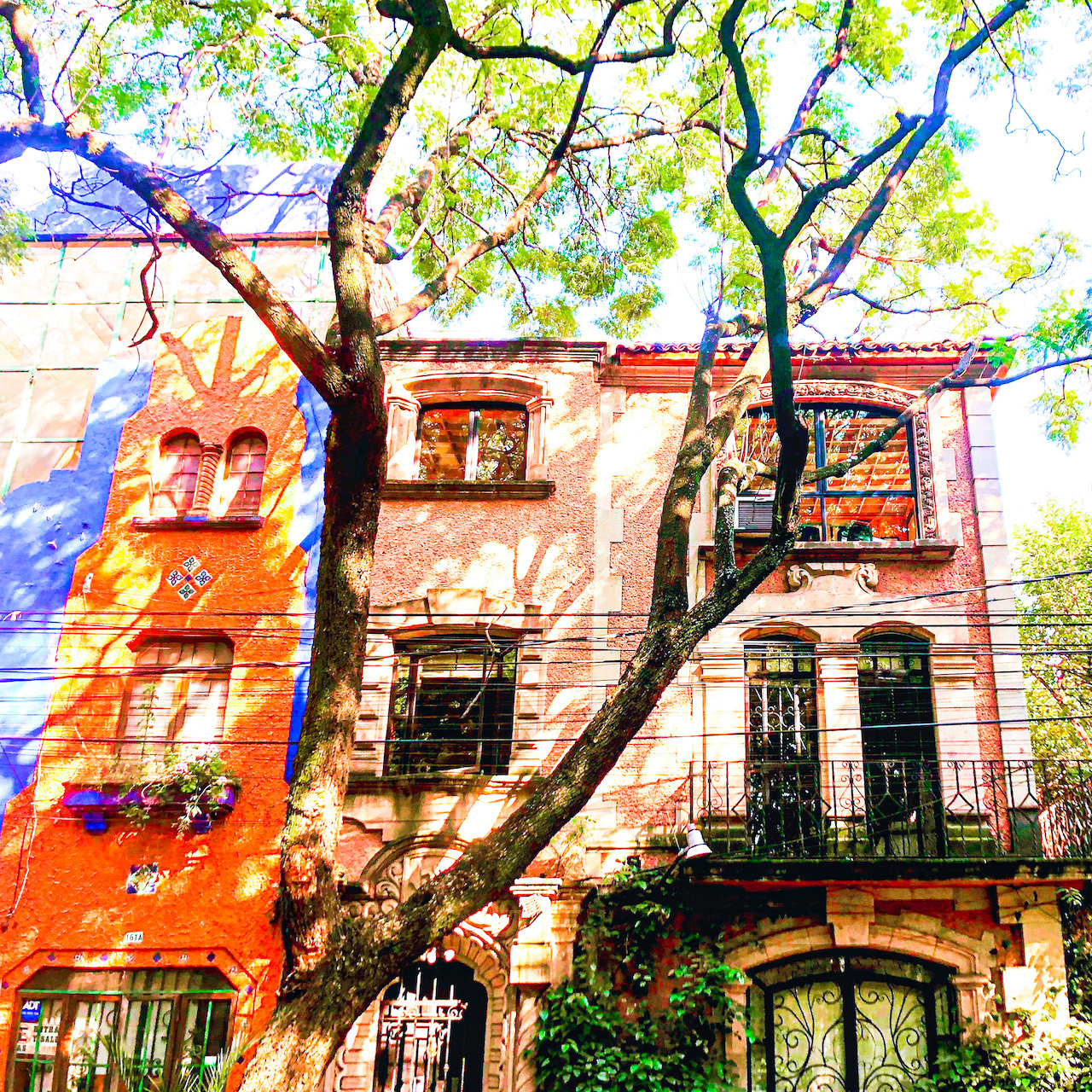 Where to Stay in Mexico City: Complete Guide to the Best Neighborhoods ...